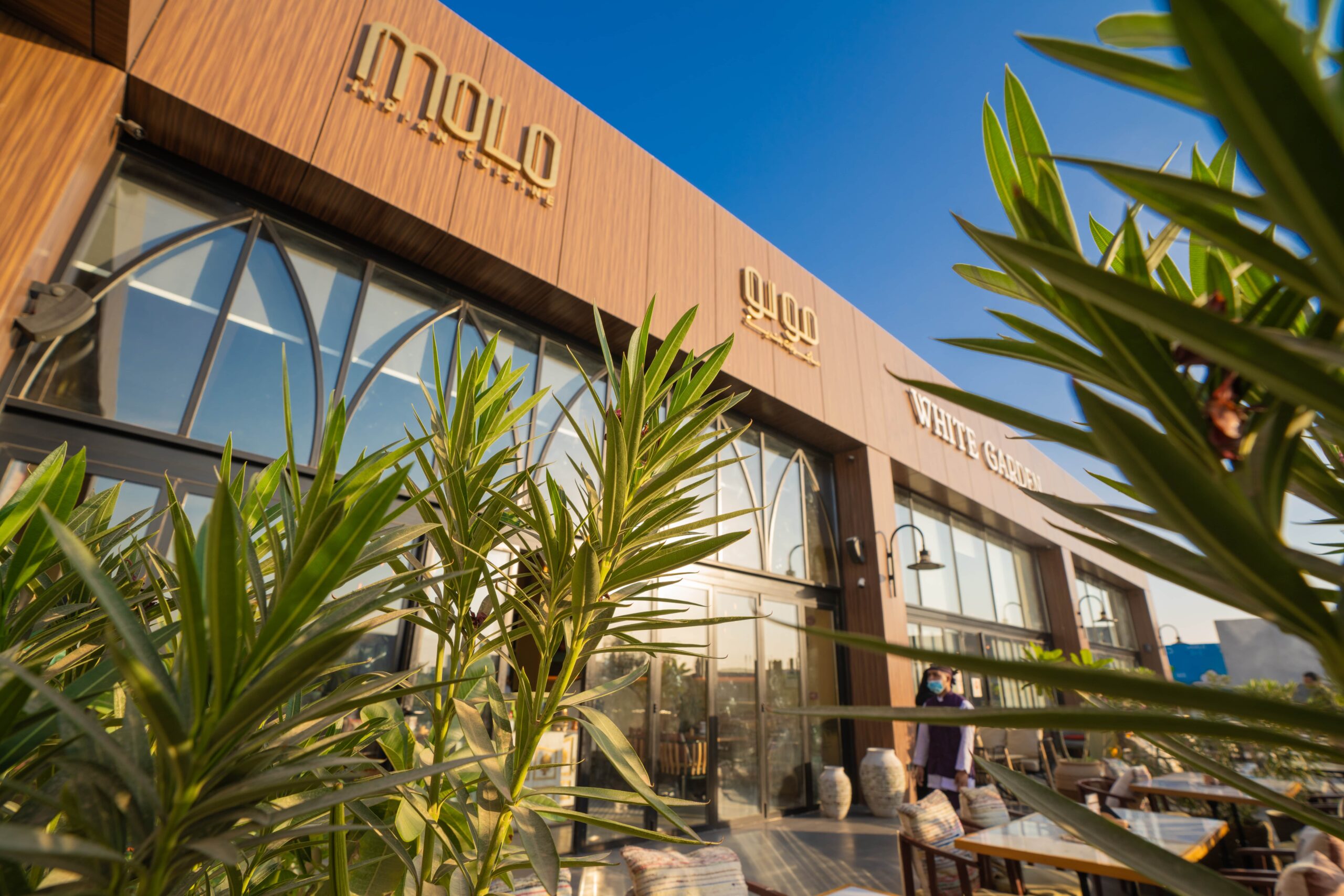 Gallery - Mateen Foods